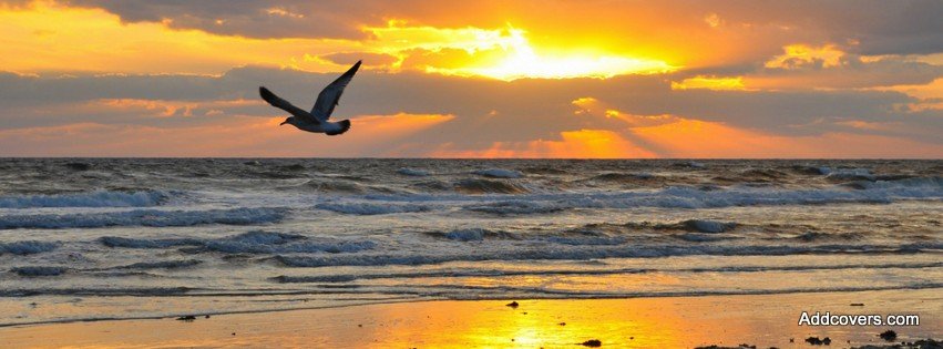 Beautiful Pictures For Facebook Cover Page - Infoupdate.org