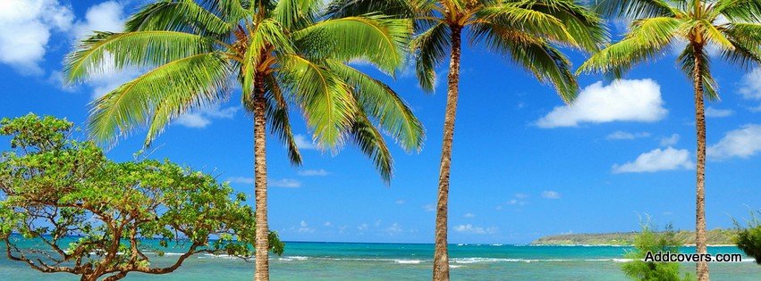 Facebook Covers Tropical