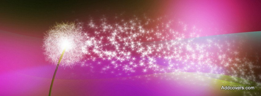Dandelions Facebook Cover