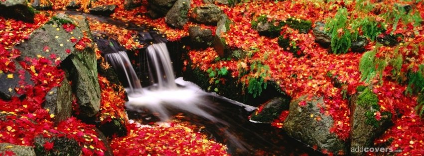 Nature Fall Facebook Cover Photos