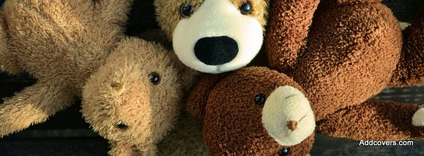 Teddy Bear Wallpapers For Facebook Cover