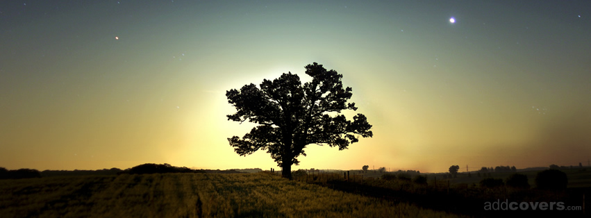 Tree Facebook Covers