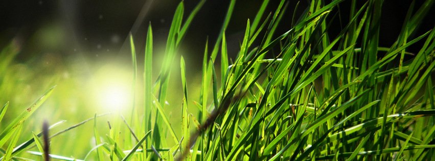 Green Nature Facebook Covers
