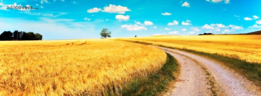 Country Summer Facebook Covers