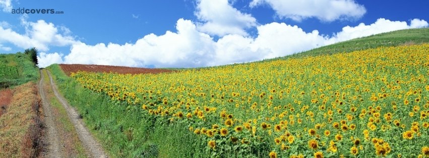 Country Facebook Covers